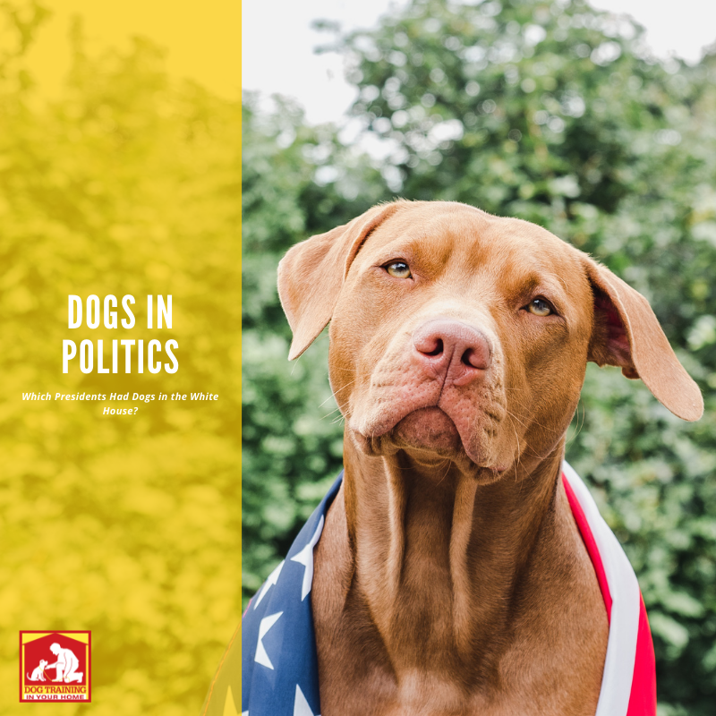 Presidential Pups: Dogs in Politics | Dog Training In Your Home